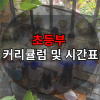 왕십리 텐즈힐 스피아영어어학원 초등부 커리귤럼및 시간표 네이버 블로그