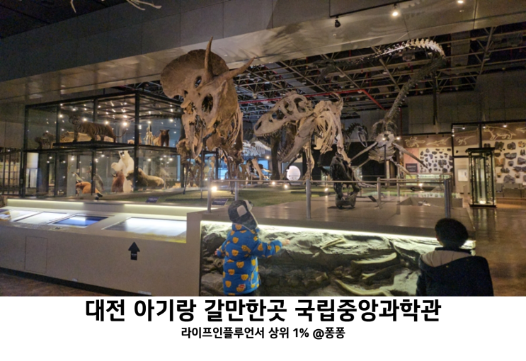 대전 국립 중앙 과학관 실내 겨울 아기랑 갈만한곳 자연사관 공룡 박물관 인류관 입장료 주차 꿀팁 네이버 블로그