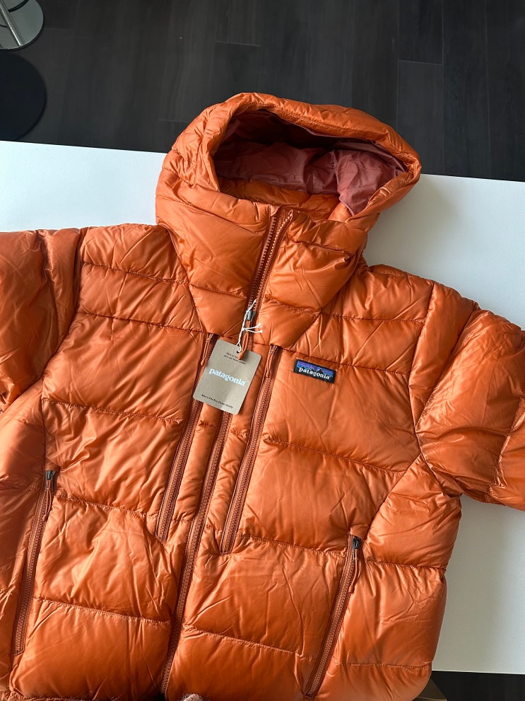 [여성 착용/구매 후기] 파타고니아 피츠로이 다운(패딩) 후기 [Patagonia Men's Fitz Roy Down Hoody ...