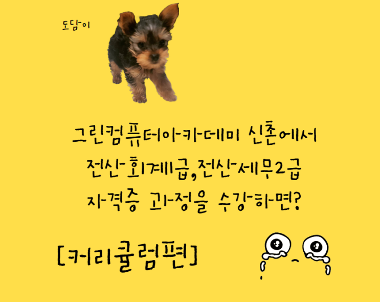 그린컴퓨터아카데미 신촌에서 전산회계1급전산세무2급 자격증 과정을 수강하면 커리큘럼 네이버 블로그