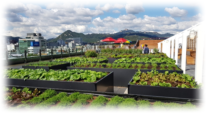 도시농업 알아보기 : 네이버 블로그