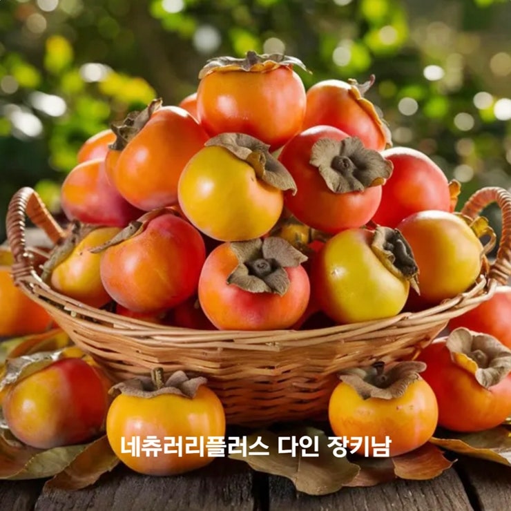 감 홍시 곶감 효능 부작용 상극 음식 칼로리 네이버 블로그
