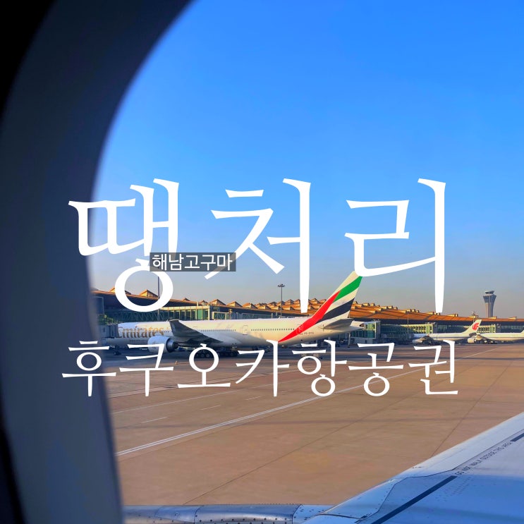 일본 후쿠오카 땡처리 항공권 특가 1월 여행 할인 마이리얼트립 예약 후기 꿀팁 오사카 삿포로 네이버 블로그