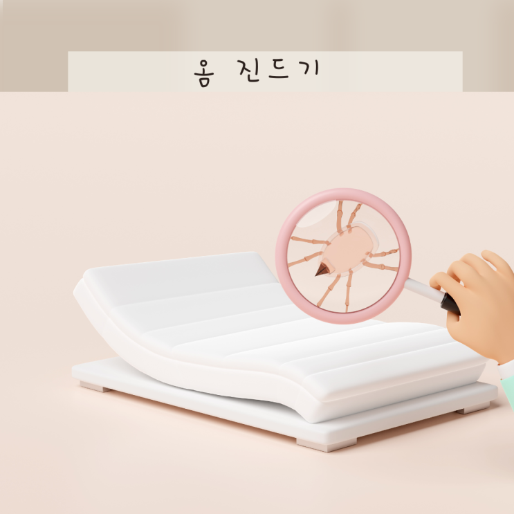 옴 진드기 원인 초기 증상 잠복기 치료 전염 막는 방법 중요합니다 네이버 블로그