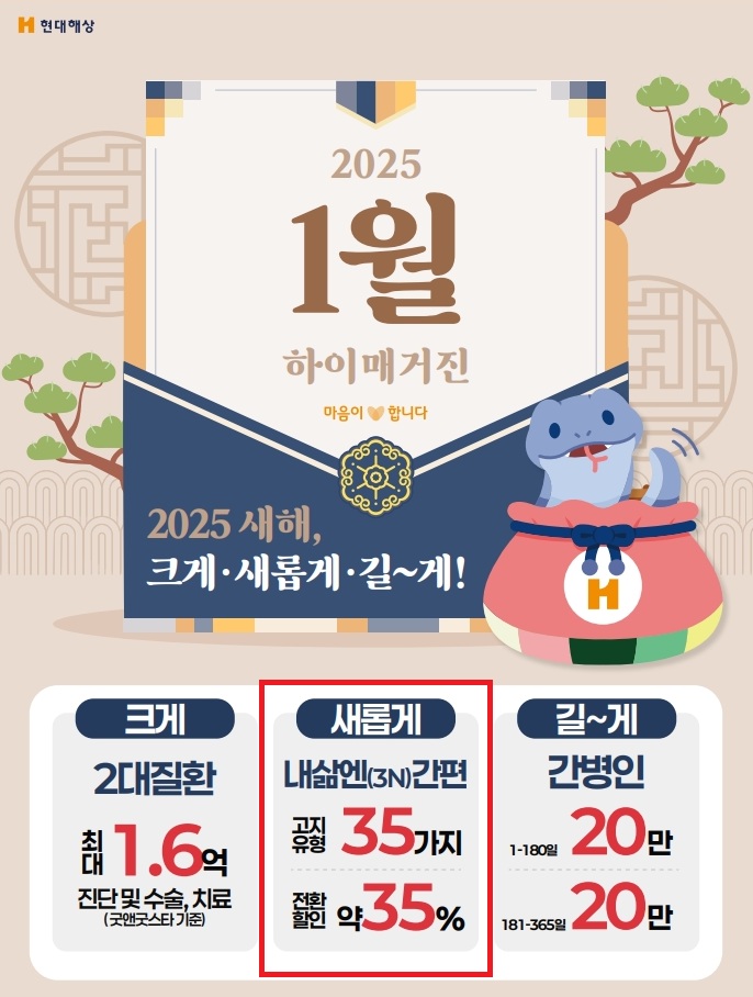 병이 있어도 가입되는 유병자 보험 현대해상 내 삶엔(3NNN) 출시 : 네이버 블로그