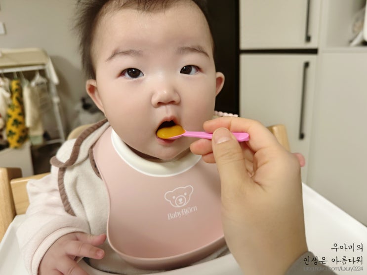 루비얌 유기농야채 과일퓨레 6개월 아기 초기 이유식 시작 추천 간식 네이버 블로그