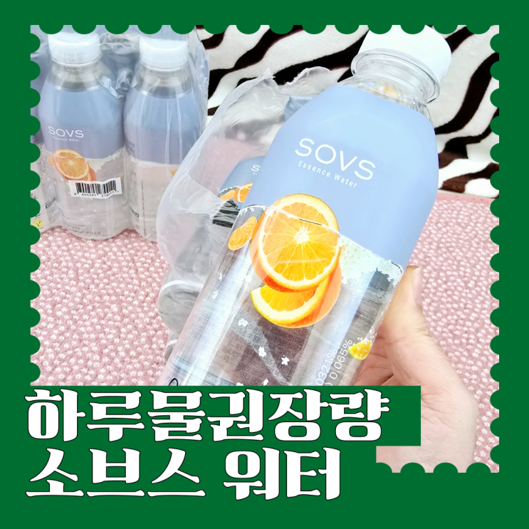 하루물권장량 건강하게 마시는 법 SOVS 소브스 에센스 워터 : 네이버 블로그