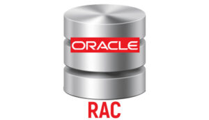 oracle RAC - auto start, 아카이브 로그 모드 변경, backup(online/offline), restore ...