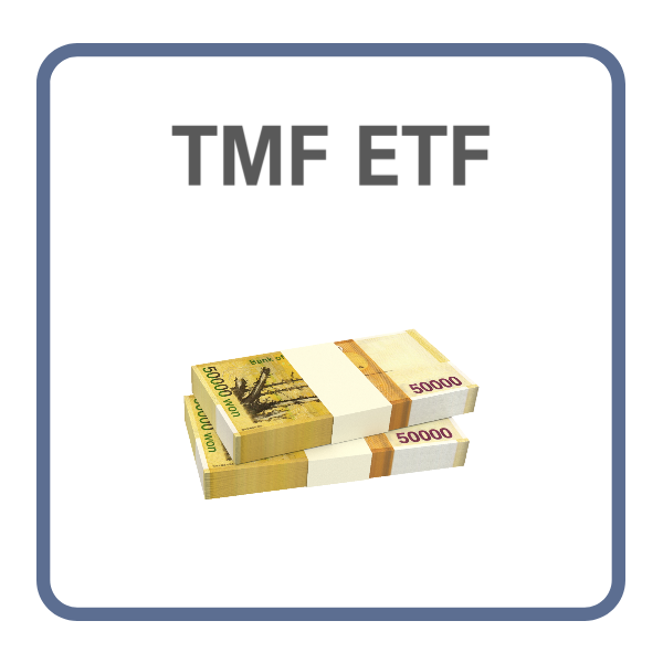TMF ETF란? 초보자를 위한 3배 레버리지 국채 ETF 완벽 정리 : 네이버 블로그