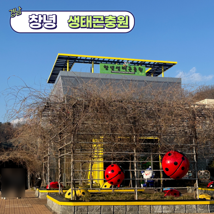 경남 겨울 실내 체험 아기와 가볼 만한 곳 창녕생태곤충원 우포 잠자리나라 네이버 블로그