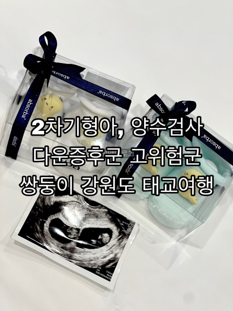 쌍둥이임신일기3탄 2차기형아검사 양수검사다운증후군고위험 강원도태교여행 양수검사결과 네이버 블로그
