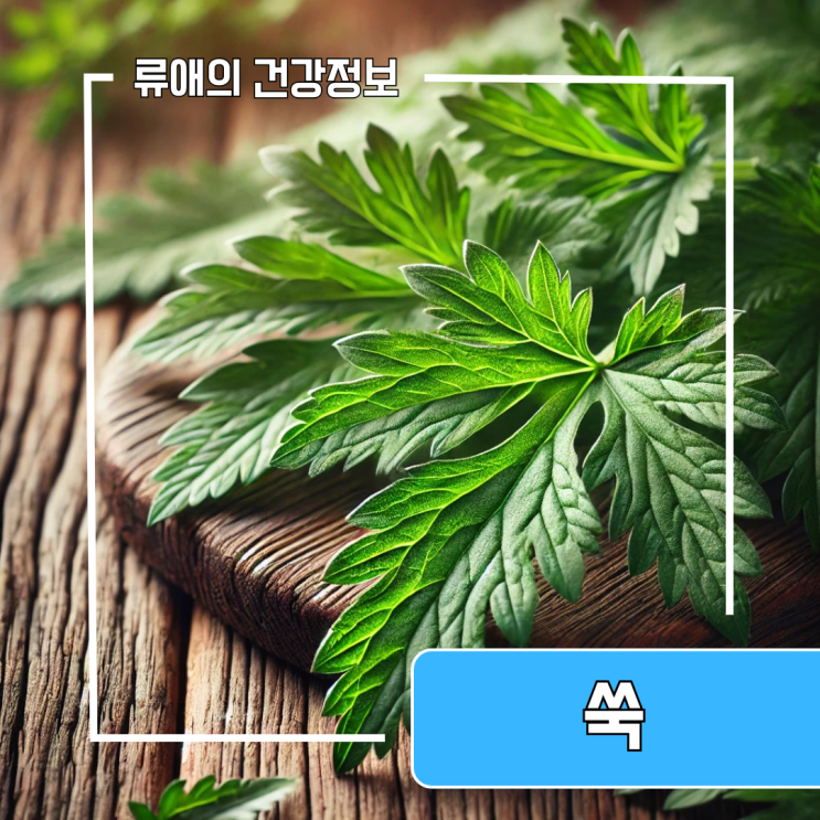 쑥효능 6가지 및 부작용 쑥차 쑥즙 쑥뿌리효능 네이버 블로그
