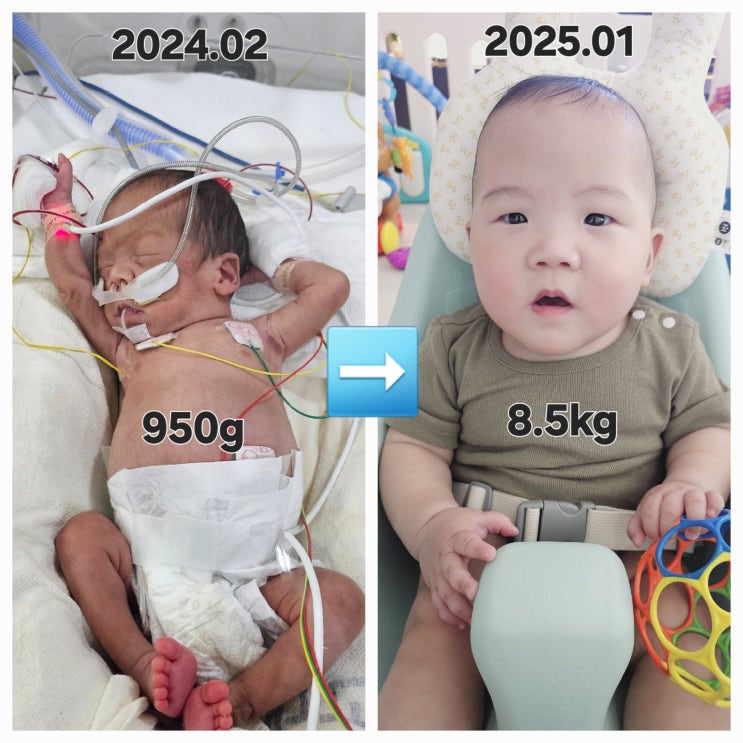 25년 최신 태아보험 전문 비교설계 추천 순위와 특약 및 견적까지 놓치지 마세요 네이버 블로그