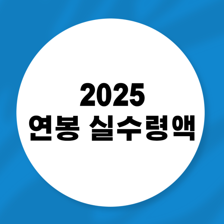 2025 연봉 실수령액 표 계산기 3000 5000 1억 : 네이버 블로그