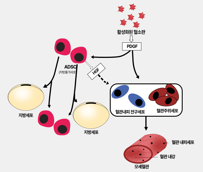 SVF와 ADSC의 장단점 : 네이버 블로그