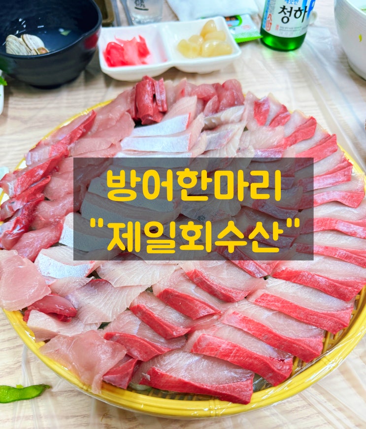 방어대잔치!~"제일 회수산" : 네이버 블로그