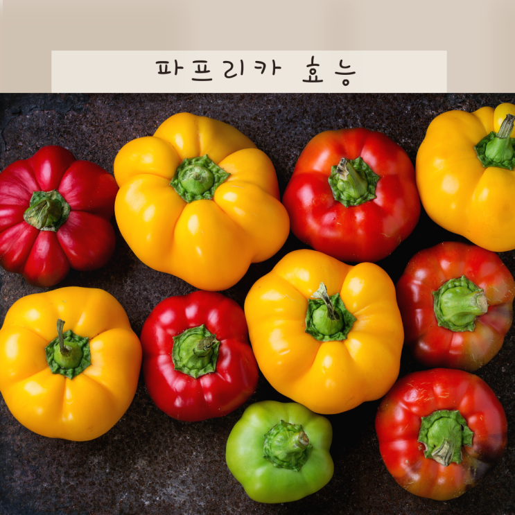 파프리카 효능 8가지 파프리카 색깔 별 알아보자빨간 노랑 초록 주황 네이버 블로그