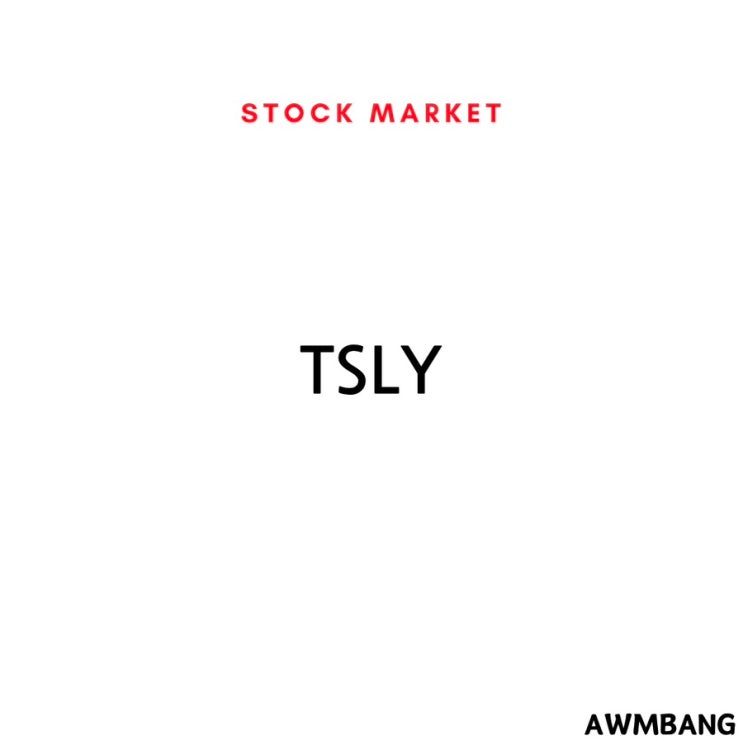 🚀 YieldMax TSLA Option Income Strategy ETF(TSLY) 분석, 테슬라 커브드콜 월 배당 전략 ...