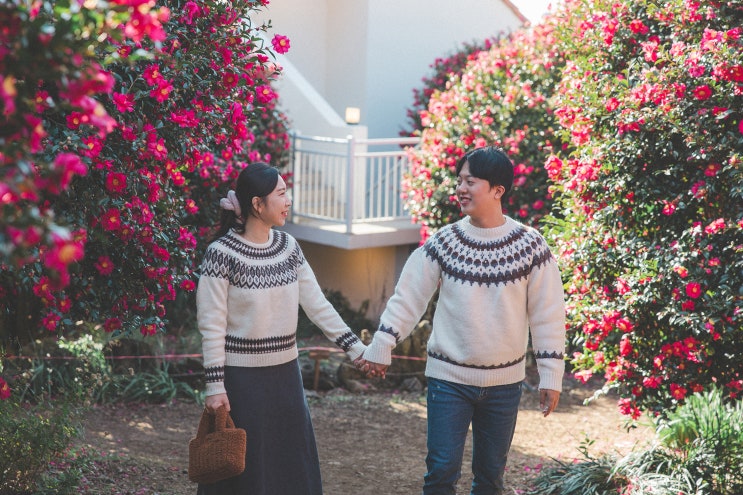 [오르다스냅in제주] 제주웨딩스냅, 동백포레스트에서 커플스냅 : 네이버 블로그