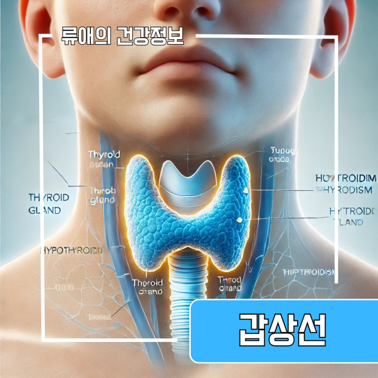 갑상선기능저하증피검사 증상 원인 치료 갑상선기능저하증약 평생 네이버 블로그