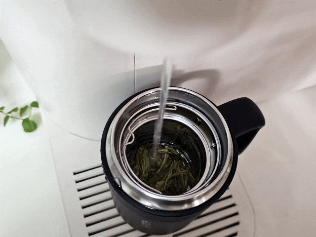 할리스커피 티텀블러 TEA TUMBLER 내돈내산 : 네이버 블로그