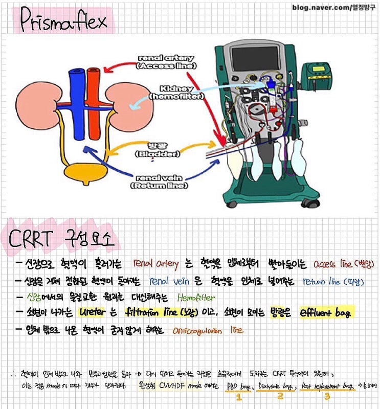 CRRT(1) : 기본개념, Mode, 처방용량, Catheter : 네이버 블로그