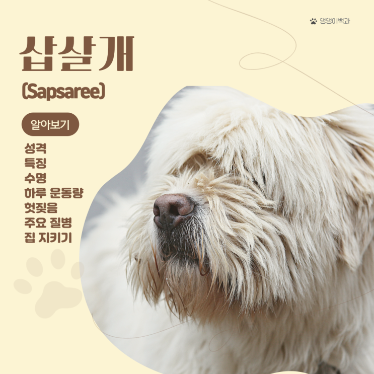 [댕댕이 백과] 삽살개(Sapsaree)에 대해 알아보기 (성격, 특징, 색상, 관리 등) : 네이버 블로그