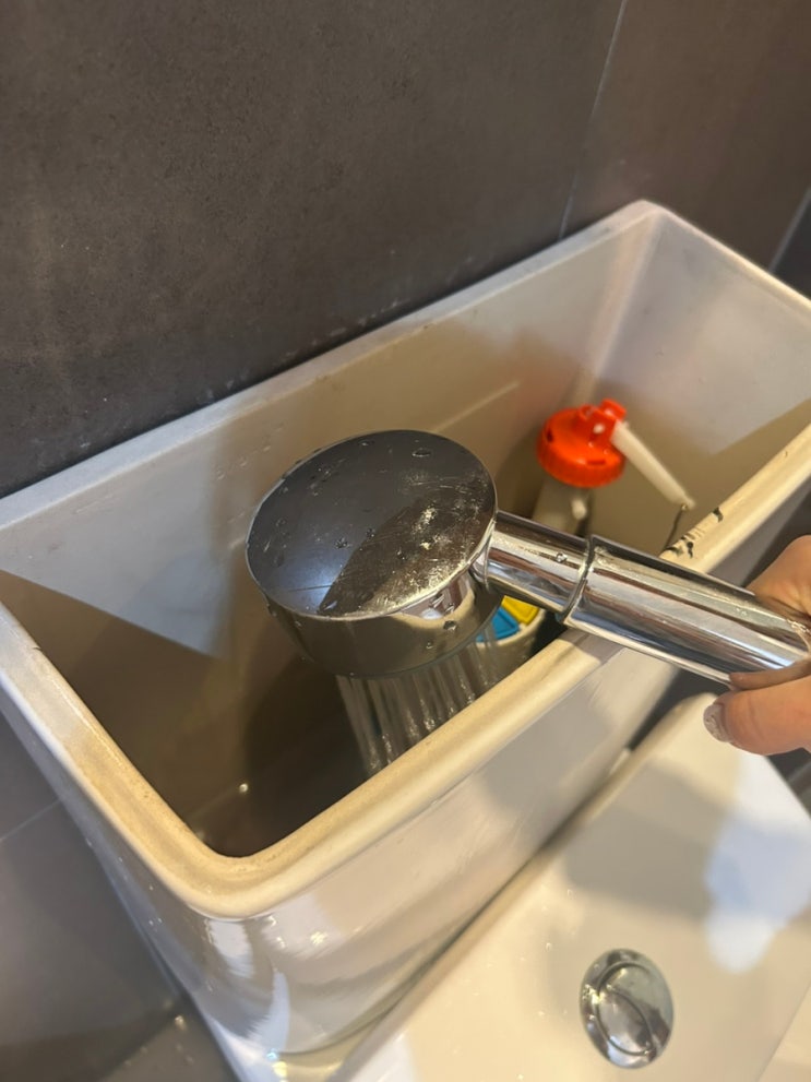 호주 멜버른 에어비앤비 비추후기 : 네이버 블로그