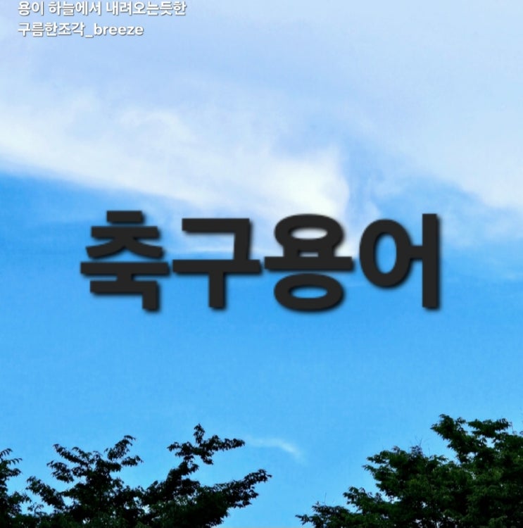 축구 기본용어 및 룰 1편 : 네이버 블로그