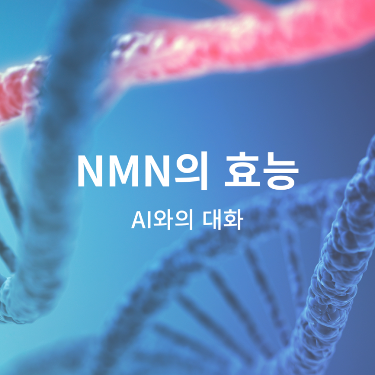 NMN(니코틴아미드 모노뉴클레오타이드)의 효능과 부작용 : 네이버 블로그