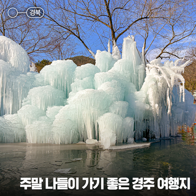 겨울 주말 나들이 1월 가족여행으로 가볼 만한 경주 국민힐링파크 운영시간 입장료 주차 네이버 블로그