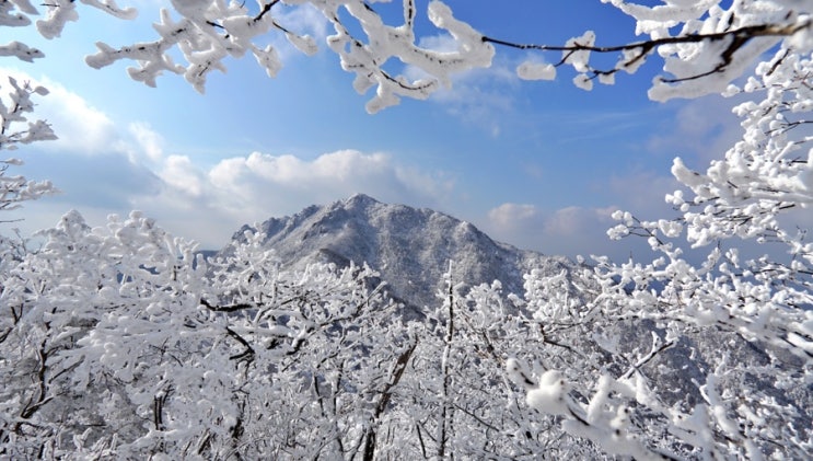 남덕유산 영각사 황점마을 : 네이버 블로그