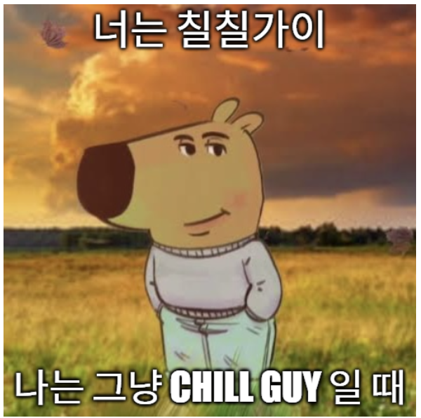 Chill하게 살자! 요즘 핫한 Chill Guy 칠 가이 밈 뜻 짤모음 : 네이버 블로그