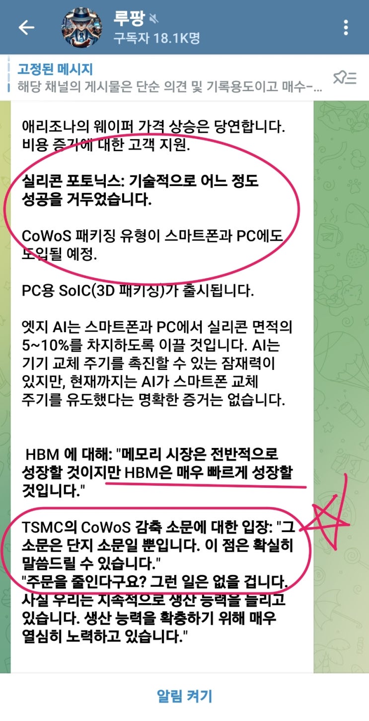 tsmc 컨콜 내용(feat.루팡) : 네이버 블로그