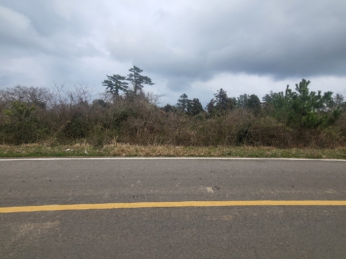 제주경매 - 제주시 한경면 조수리 토지경매(낙찰40,111,000원 / 감정가 44.43%) : 네이버 블로그