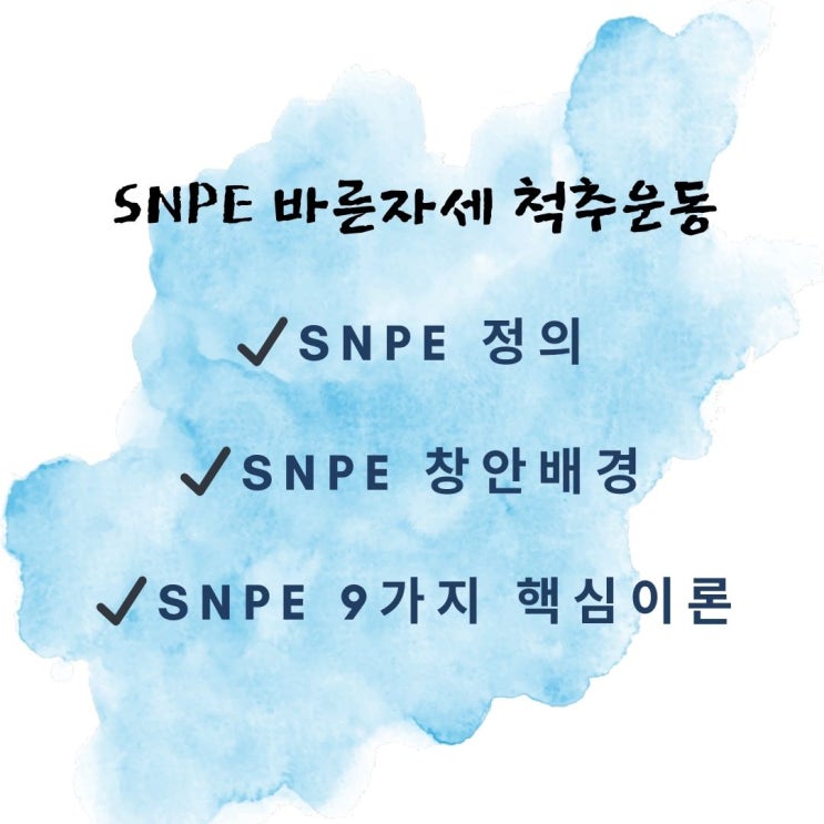 SNPE 바른자체 척추운동 개론, 9가지 핵심이론(지도자교육 1주차) : 네이버 블로그