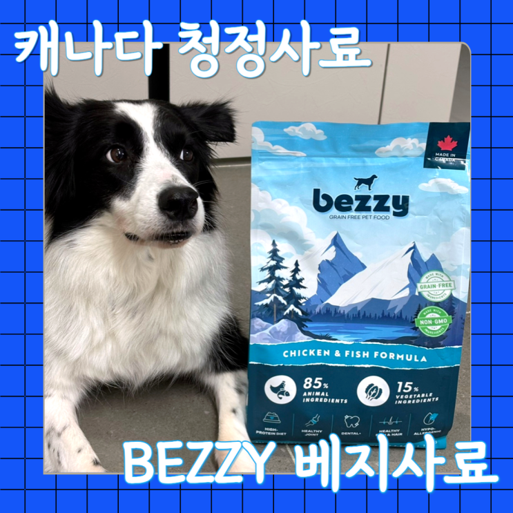 캐나다 bezzy 베지 사료: 강아지 그레인프리 고단백 사료 추천 : 네이버 블로그