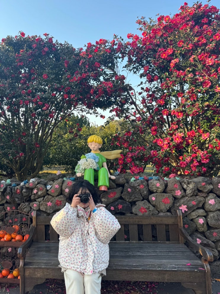 제주 서귀포 아이와 가볼만한곳 동백 명소 파더스가든 제주도 놀거리 : 네이버 블로그