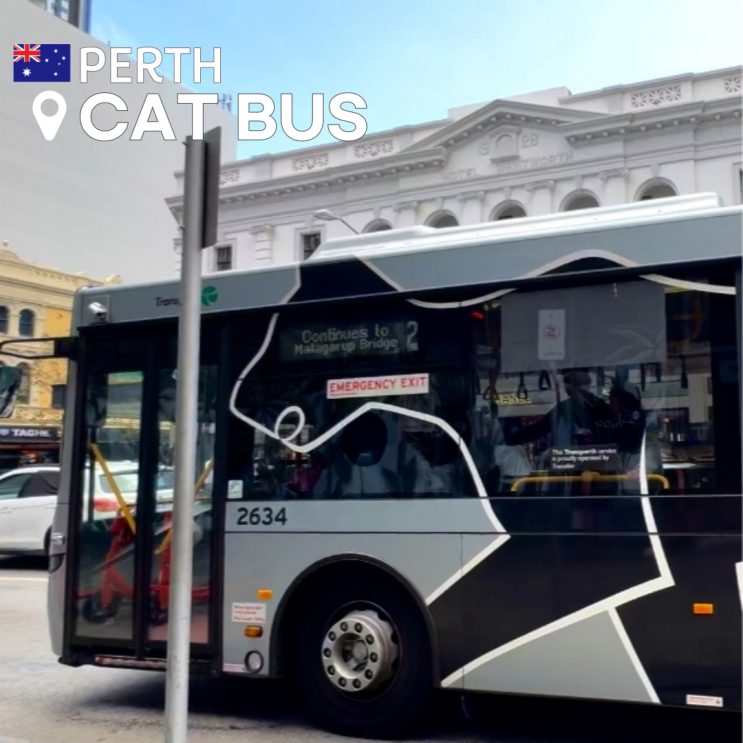 퍼스 대중교통 무료 캣버스 타는 법 노선 운행 시간표 추천 경로 : 네이버 블로그