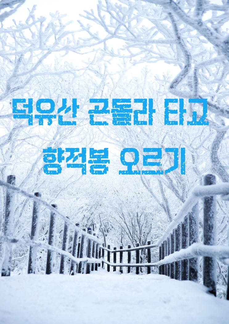 매년 덕유산을 오르는 호호마미의 덕유산 곤돌라 예약방법과 이용방법 : 네이버 블로그