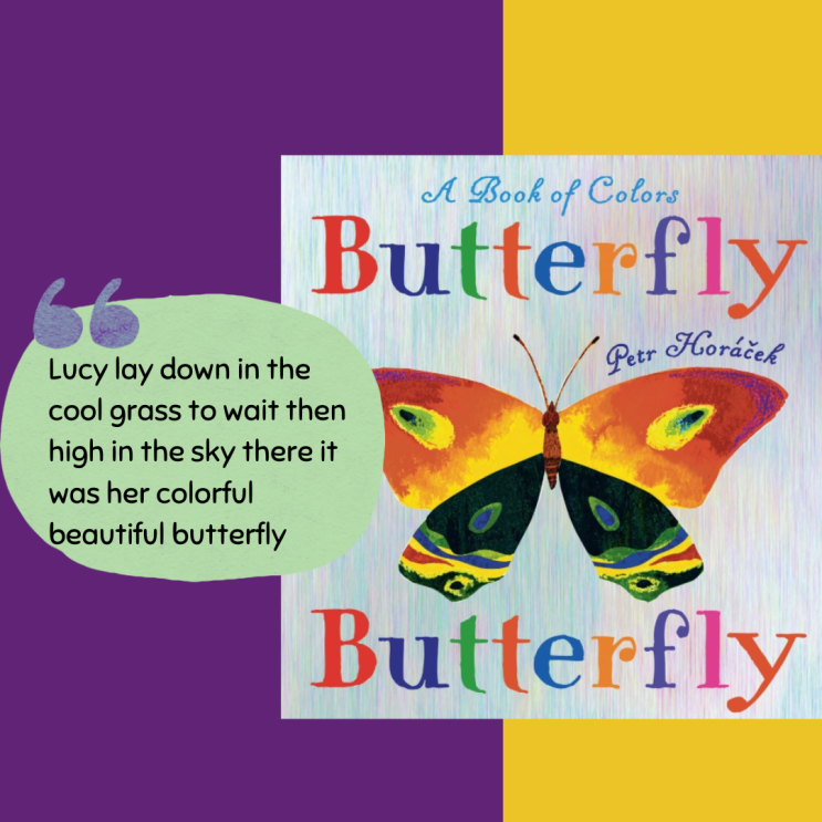 내가 뽑은 아름다운 그림책 Butterfly Butterfly by Petr Horacek (영어 동화책 추천) : 네이버 블로그