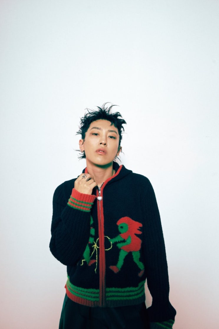 가수 DPR LIVE(홍다빈) : 힙합계를 주름 잡는 가수 : 네이버 블로그