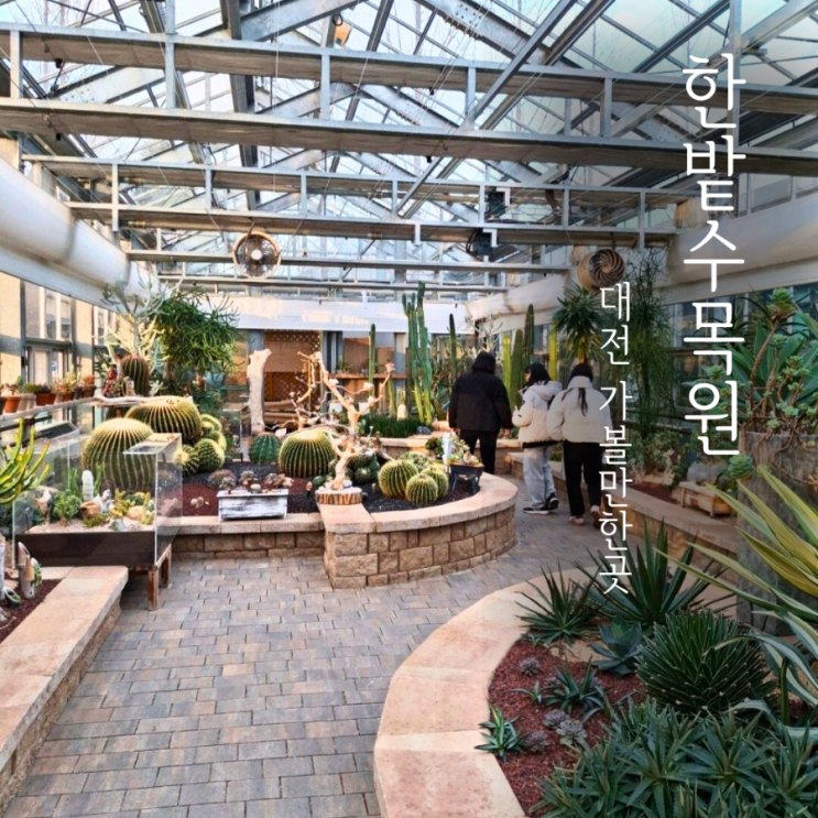대전 가볼만한곳 한밭수목원 데이트 열대식물원 곤충생태원 스케이트장 네이버 블로그