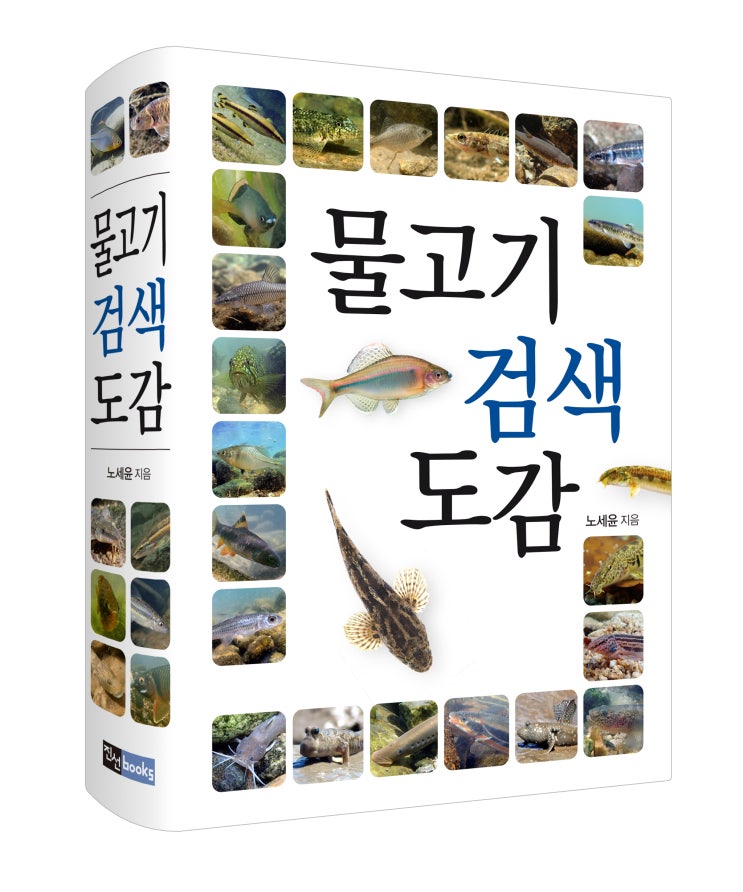 [출간 소식] 물고기 검색 도감 : 네이버 블로그