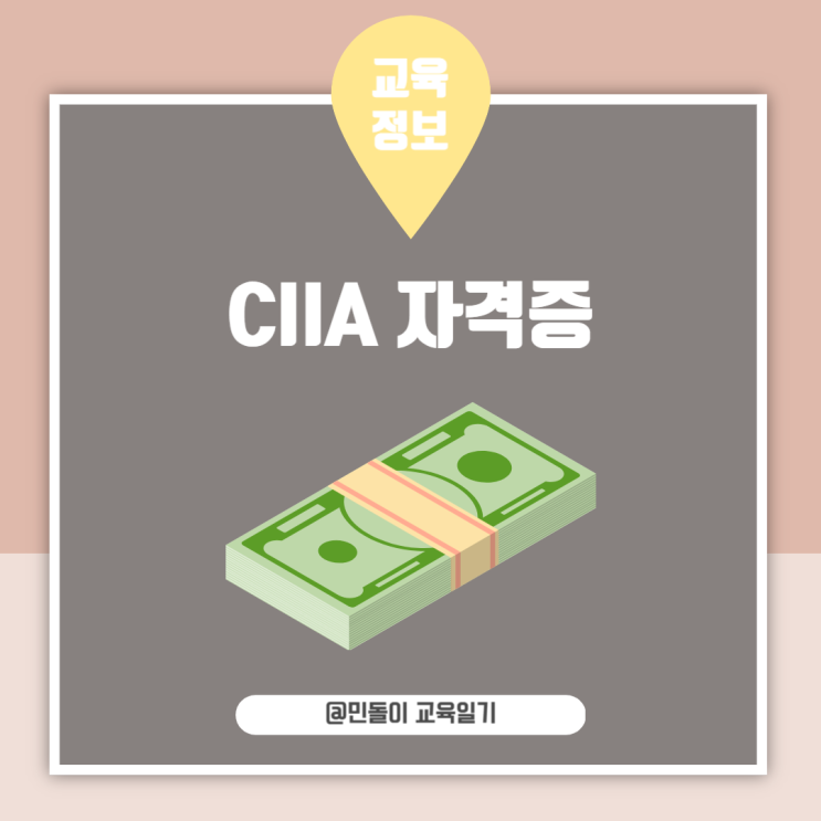CIIA 자격증 활용과 시험 정보, 모든 것을 알아보자 : 네이버 블로그
