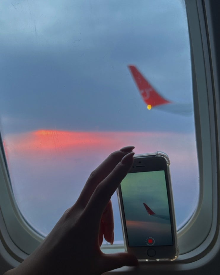 겨울 제주 보러 급 혼자 떠나는 1박 2일 같은 2박 3일 동쪽에서 서쪽까지 (3) : 네이버 블로그