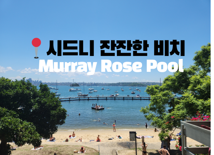 시드니 비치 추천 아이들 놀기 좋은 Murray Rose Pool 더블베이 : 네이버 블로그