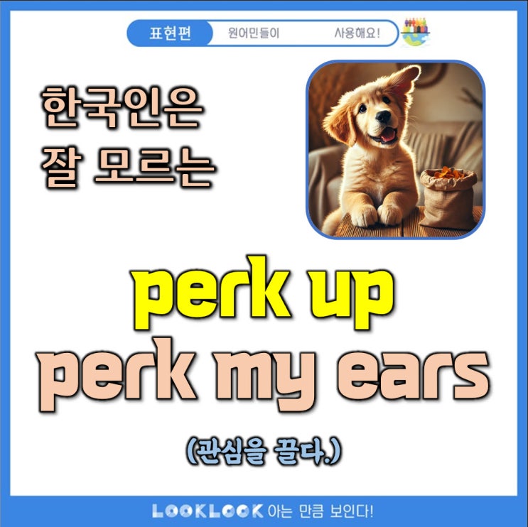 [원어민표현] perk up, perk up my ears (의미, 사진, 대화, 실제영상) : 네이버 블로그