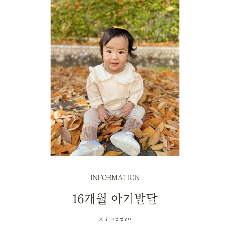 16개월 아기 발달 장난감 언어 대근육 소근육 성장발달 영양제 네이버 블로그