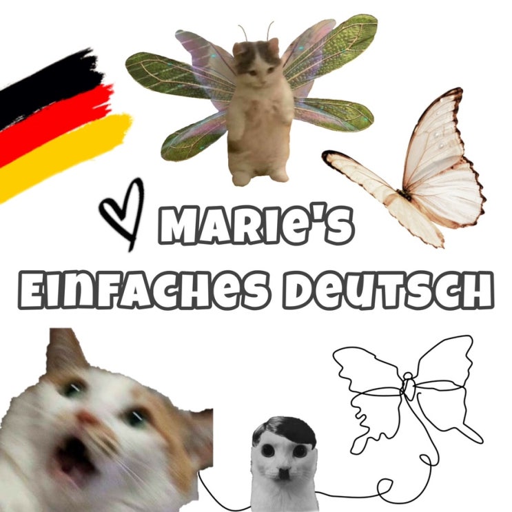 [Einfaches Deutsch] [7] 독일어 조동사 파헤쳐보기 (müssen, können, durfen, wollen ...